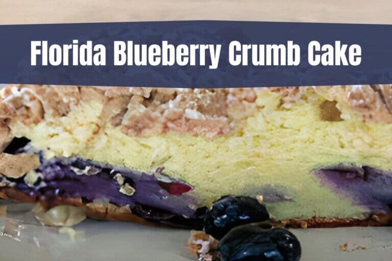 Florida Blueberry Crumb Cake • Authentic Florida