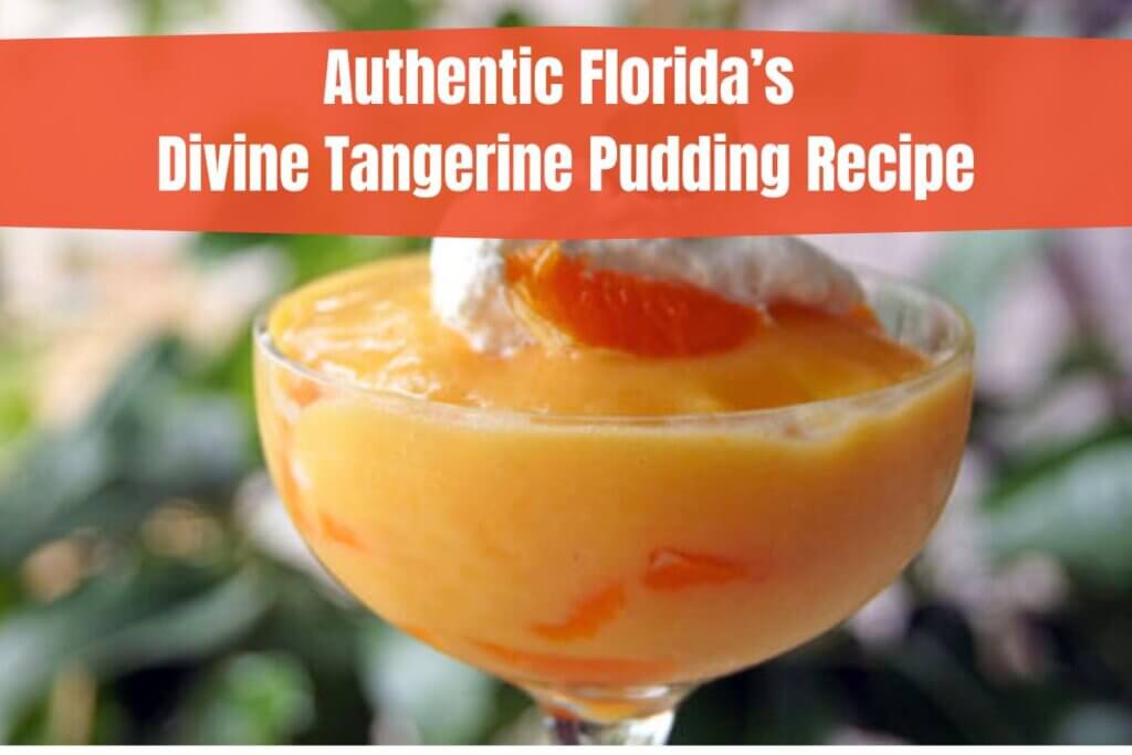 Authentic Florida's Divine Tangerine Pudding Recipe • Authentic Florida