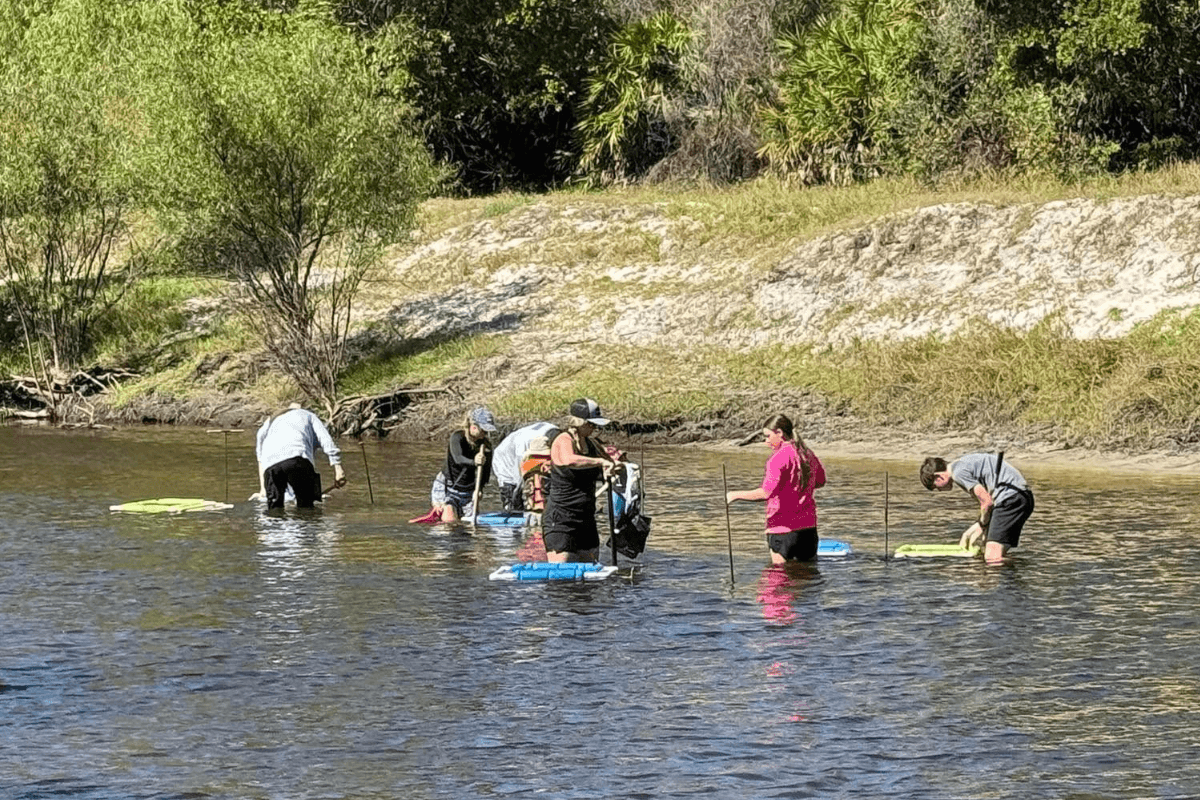 Kayaking on Florida's Peace River • Authentic Florida