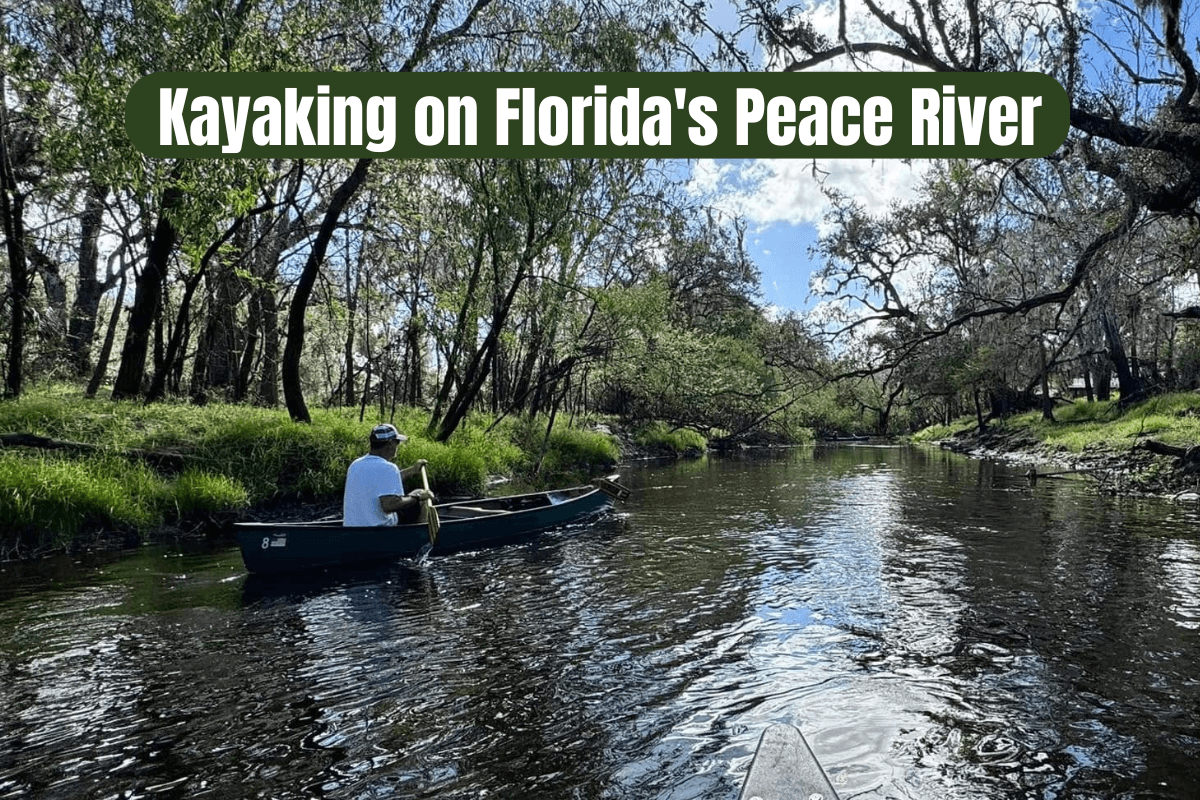 Kayaking on Florida's Peace River • Authentic Florida