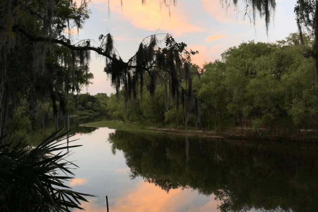 Kayaking on Florida's Peace River • Authentic Florida