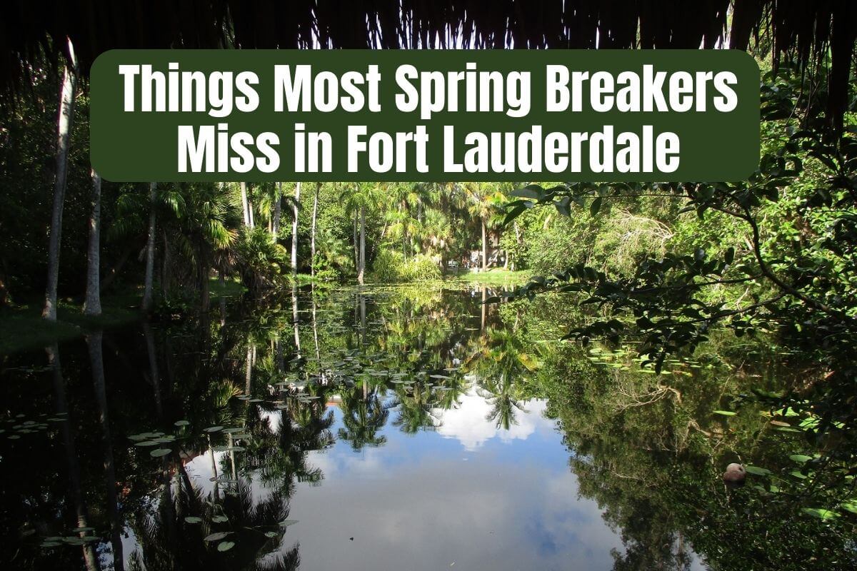 17 Top Spring Festivals in Florida (2025) • Authentic Florida