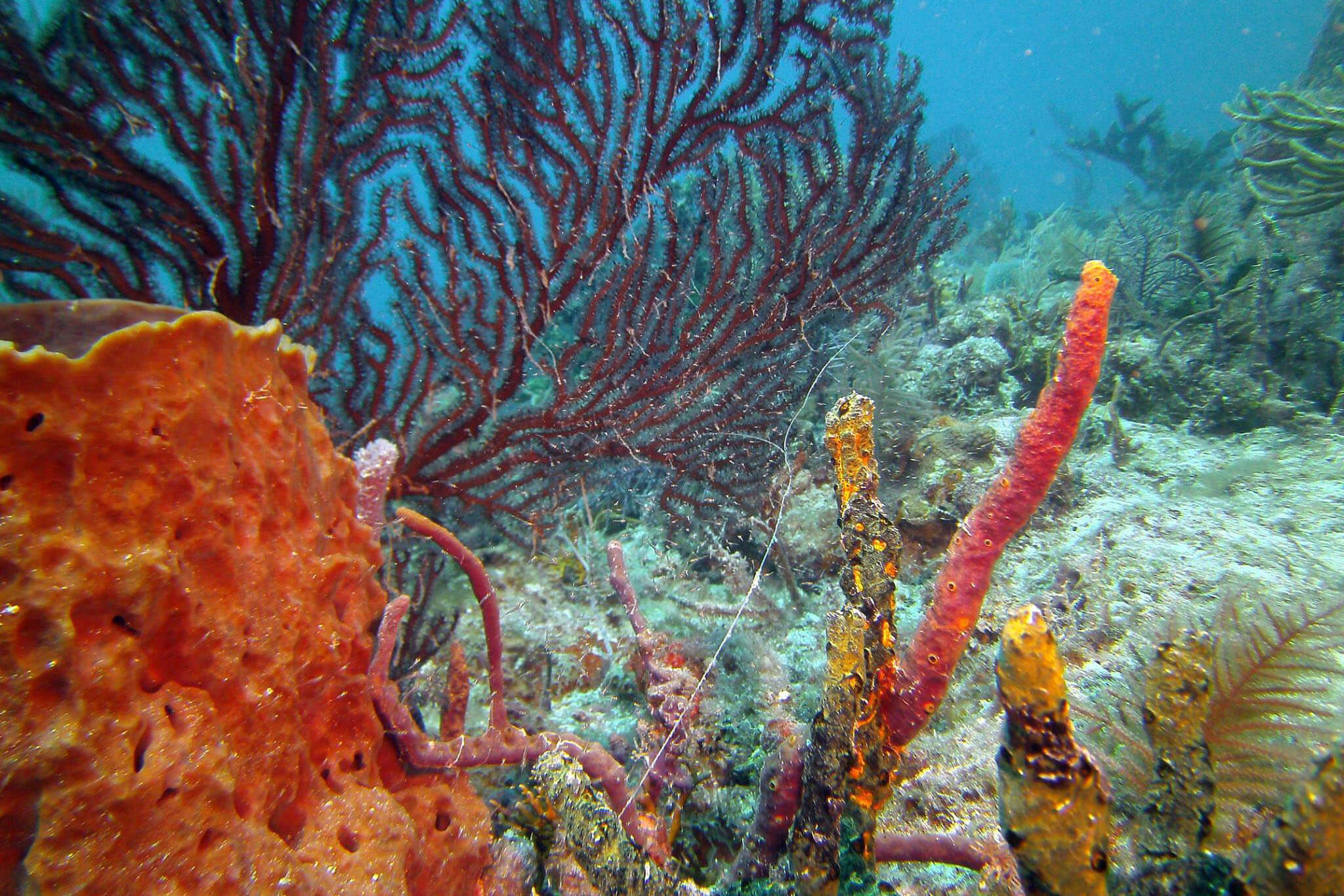 Explore & Adventure in Biscayne National Park