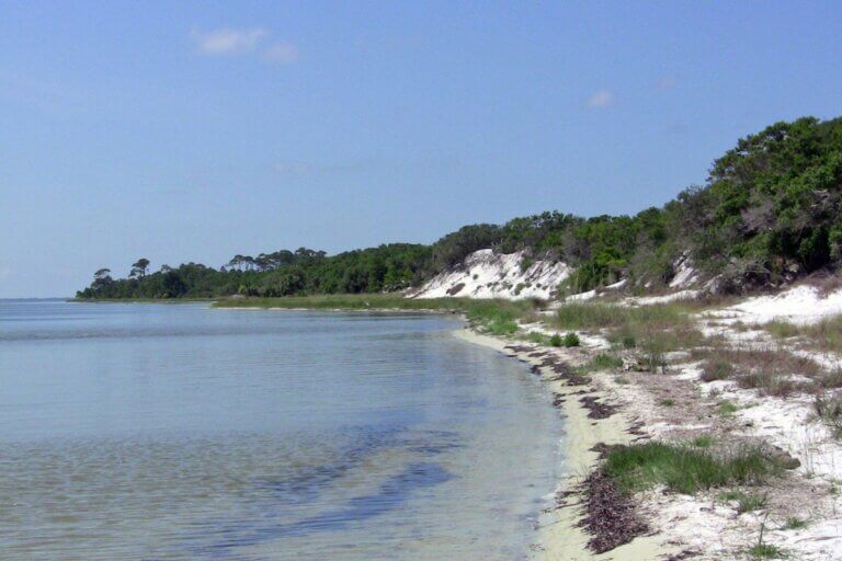Discover St. Joseph Peninsula State Park • Authentic Florida