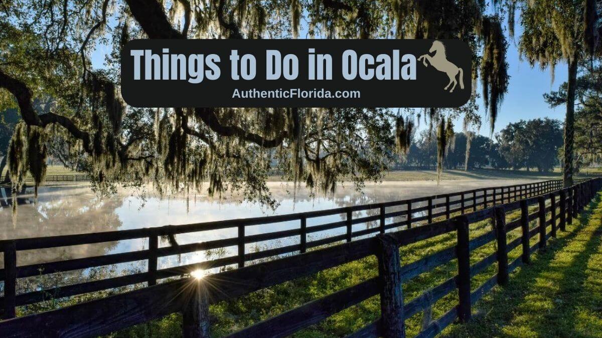 36+ Fun Things to Do in Ocala in 2025 • Authentic Florida