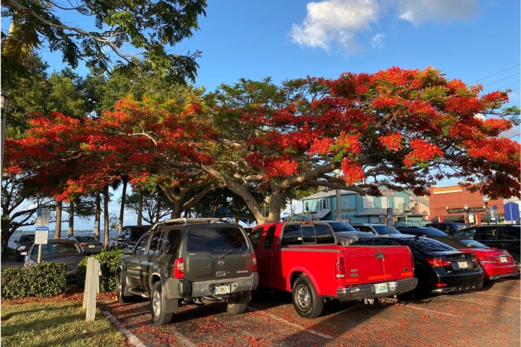 Top Things to Do in Stuart, the "Happiest Seaside Town"