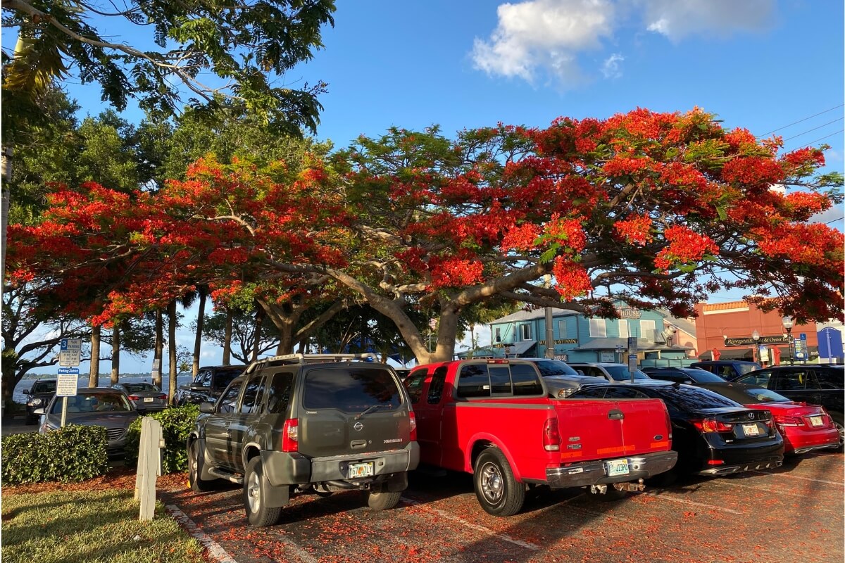 Top Things to Do in Stuart, the "Happiest Seaside Town"