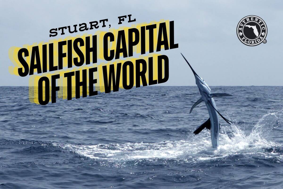 Top Things to Do in Stuart, the "Happiest Seaside Town"