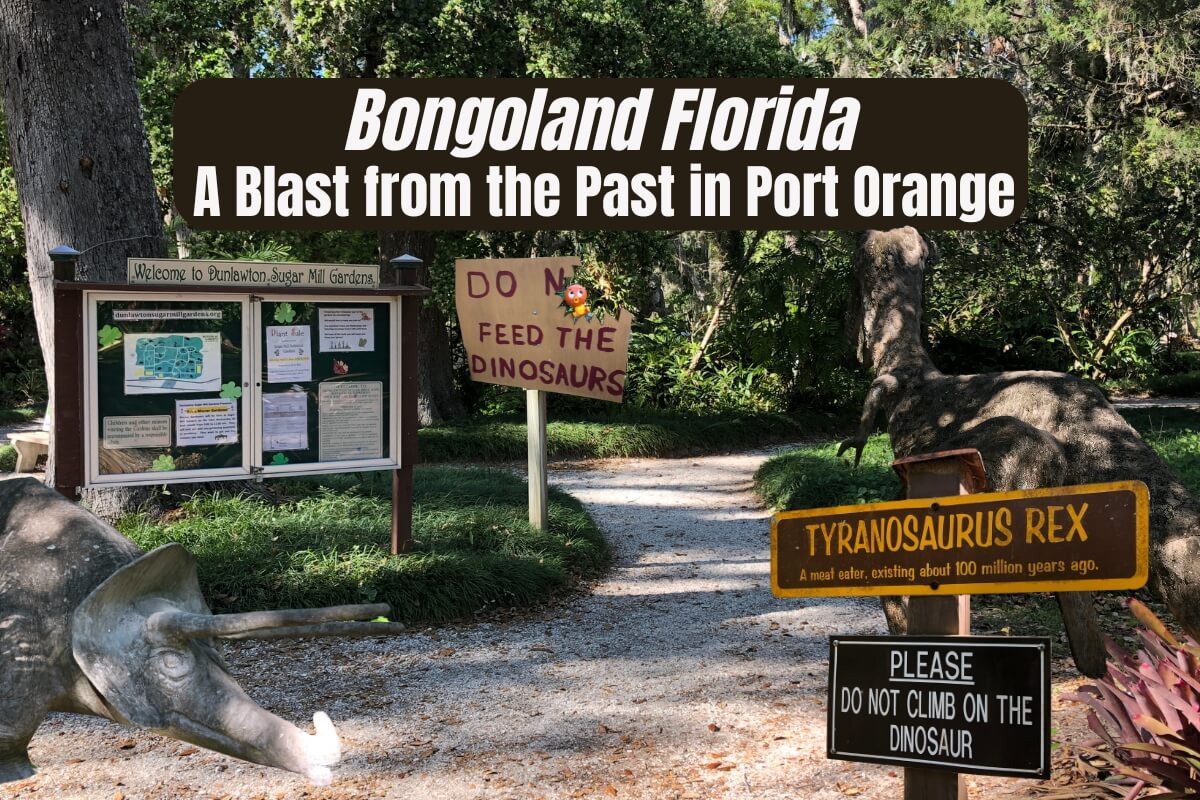 Bongoland Florida - A Blast from the Past in Port Orange • Authentic ...