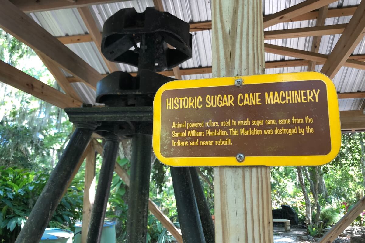 Bongoland Florida - A Blast from the Past in Port Orange • Authentic ...