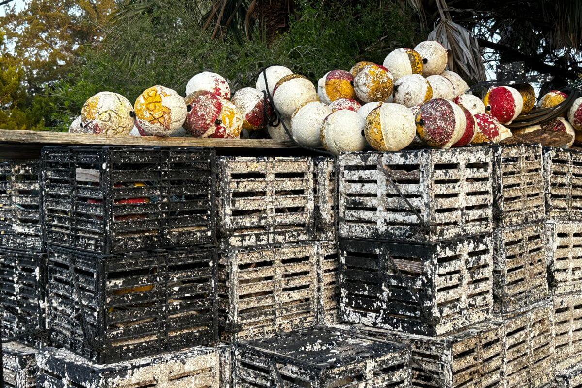 17 Pirate Festivals in Florida (2025) • Authentic Florida