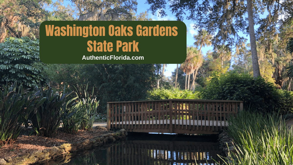 Washington Oaks Gardens State Park: A Hidden Treasure • Authentic Florida