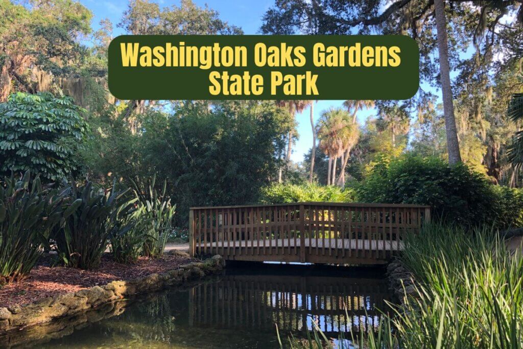Washington Oaks Gardens State Park: A Hidden Treasure • Authentic Florida
