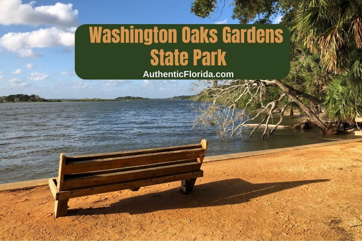 Washington Oaks Gardens State Park: A Hidden Treasure • Authentic Florida