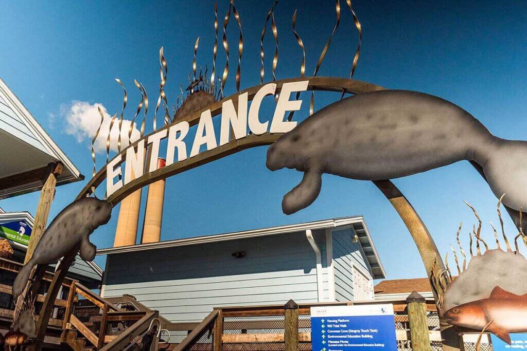 15+ Great Places To See Florida Manatees in 2026 • Authentic Florida
