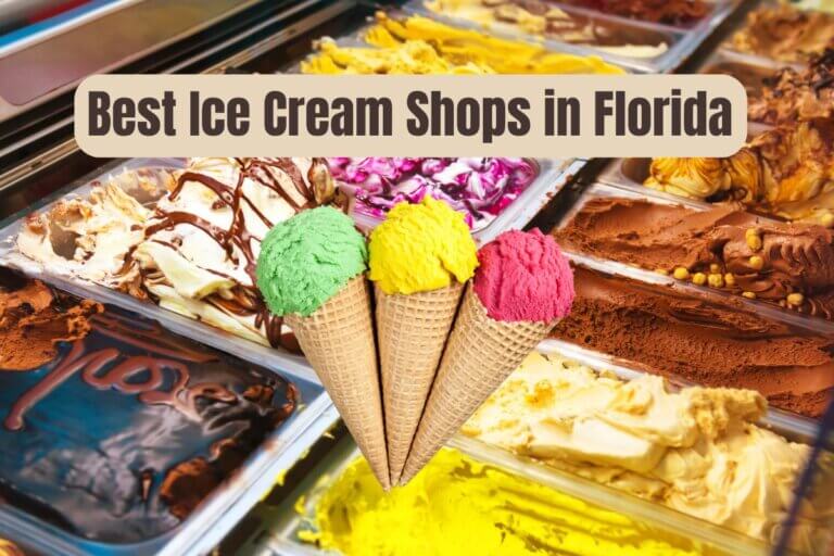 Shops with the Best Ice Cream in Florida • Authentic Florida