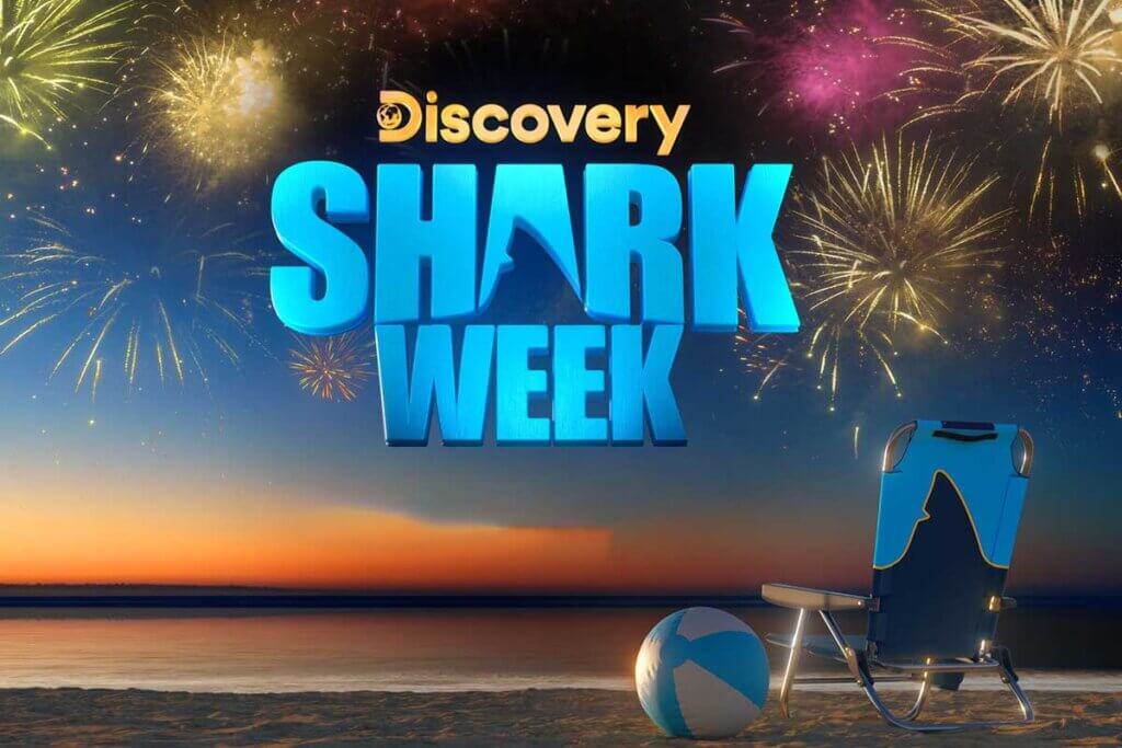 10 Best Places to See Florida Sharks in 2025 - Authentic Florida