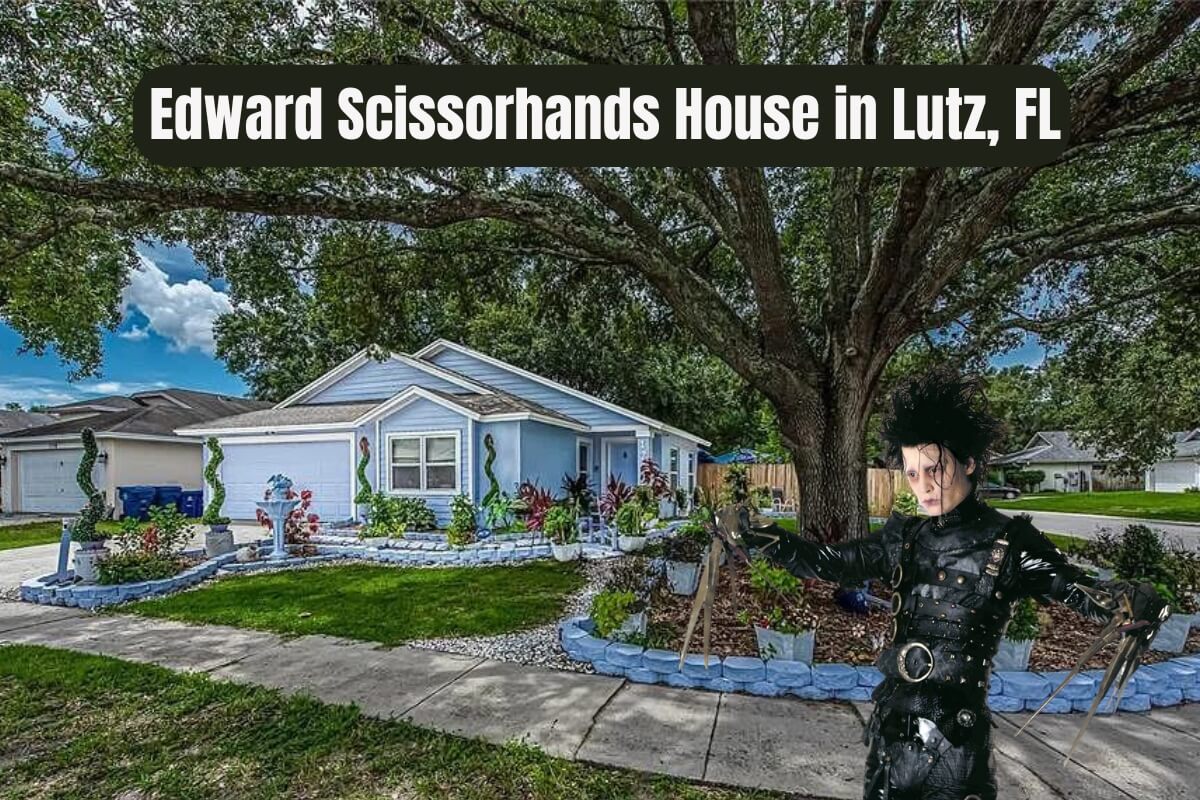 The Story of an Edward Scissorhands House in Lutz, FL