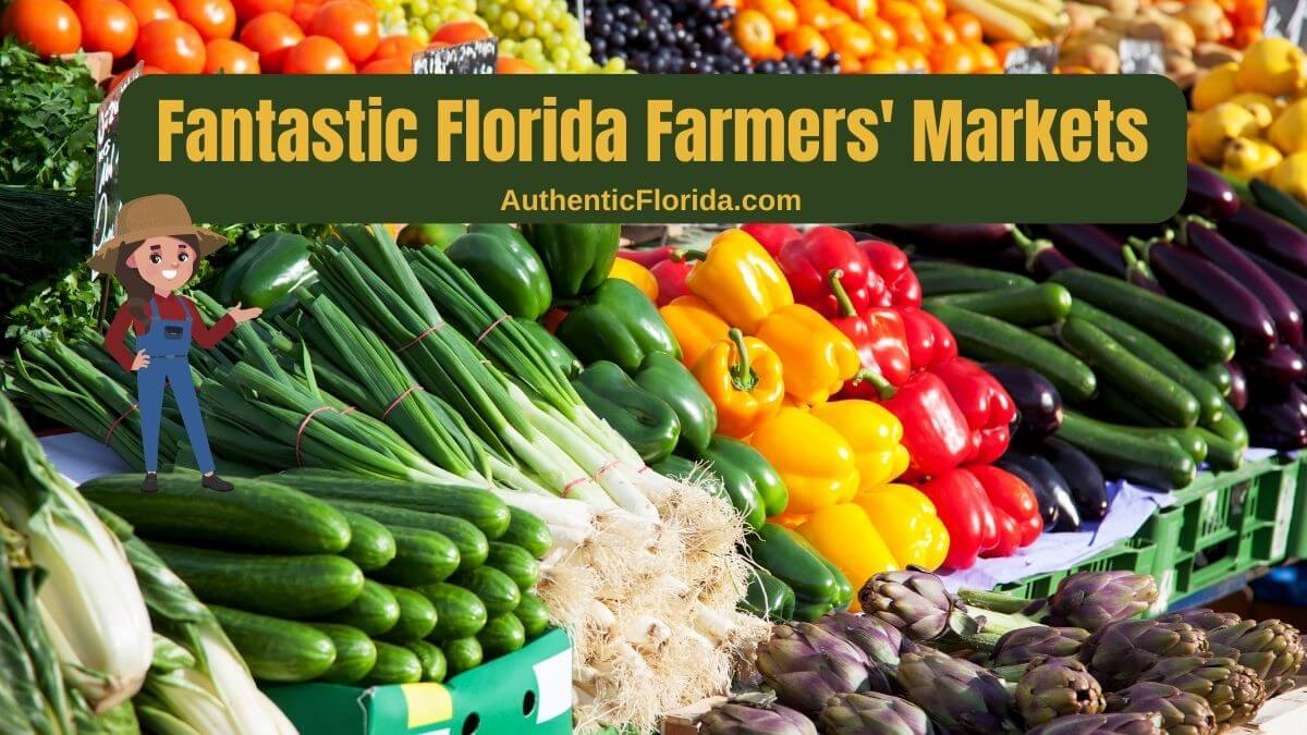 Fantastic Florida Farmers' Markets in Fall 2025 • Authentic Florida
