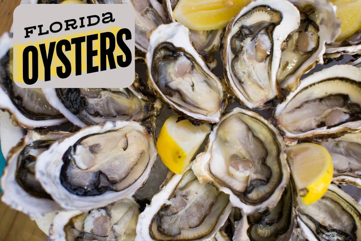10 Places to Eat the Best Oysters in Florida (2025)