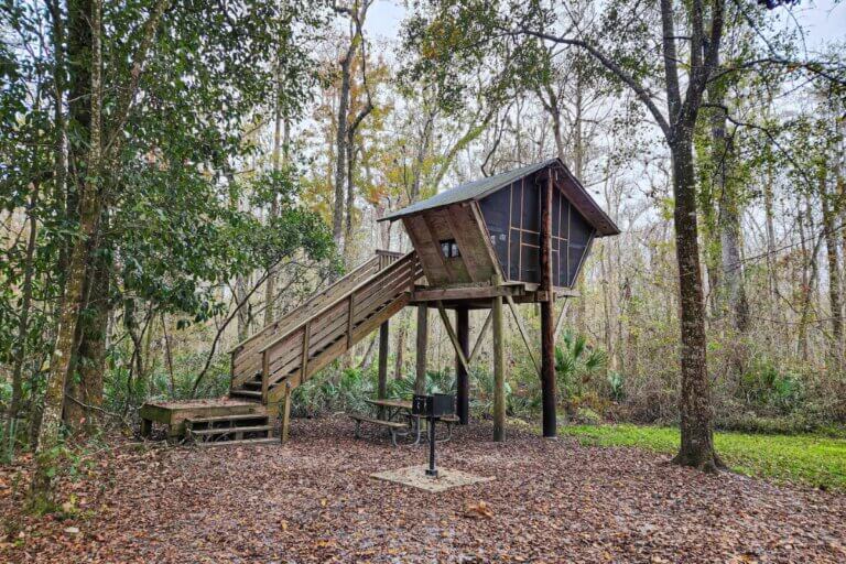 Small Towns, Big Passions: Clay County, Florida (2025) • Authentic Florida