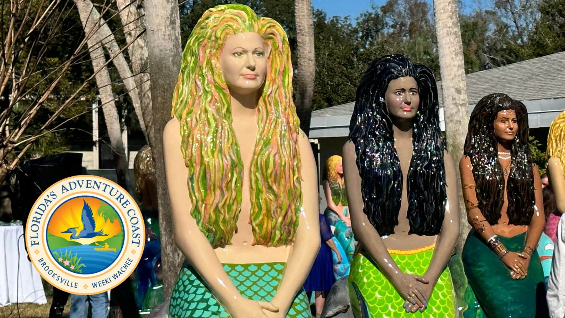 Exploring Florida's Adventure Coast, Brooksville - Weeki Wachee (2025)