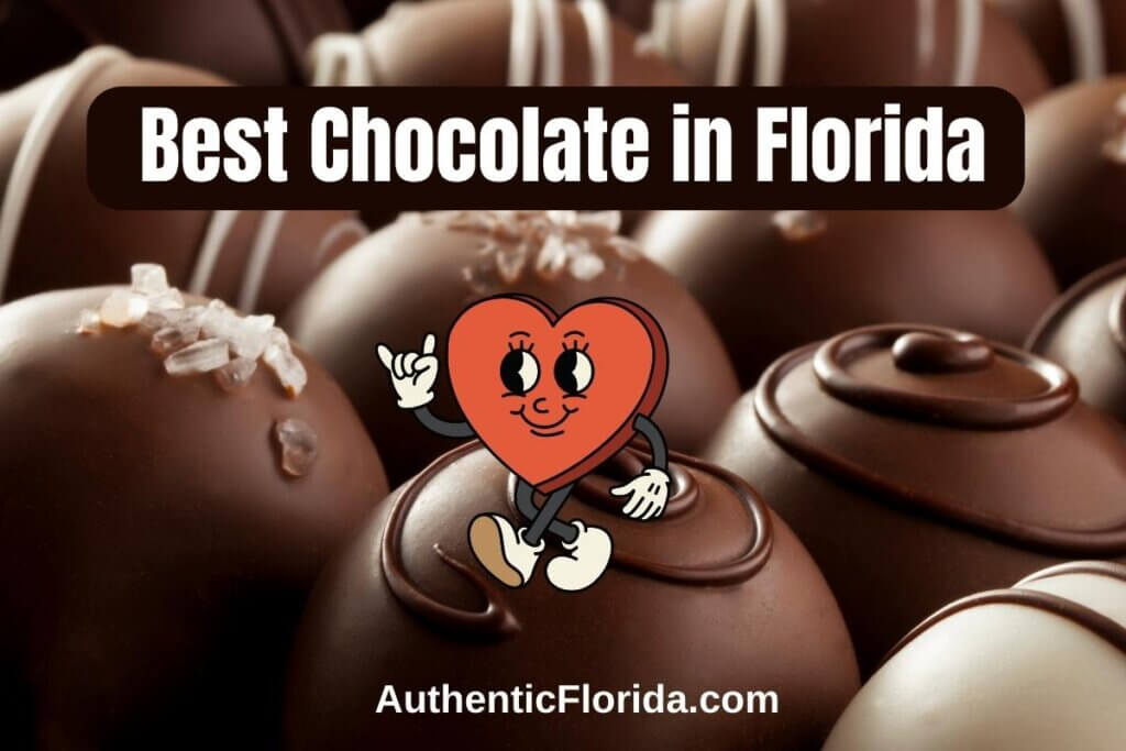 20 Places to Enjoy the Best Chocolate in Florida • Authentic Florida