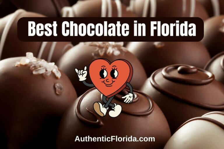 20 Places to Enjoy the Best Chocolate in Florida • Authentic Florida