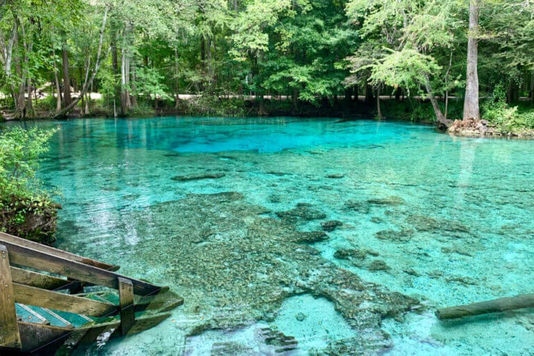 Make a Splash at These 14 Natural Waterparks in Florida