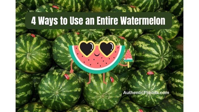 4 Ways to Use an Entire Watermelon • Authentic Florida