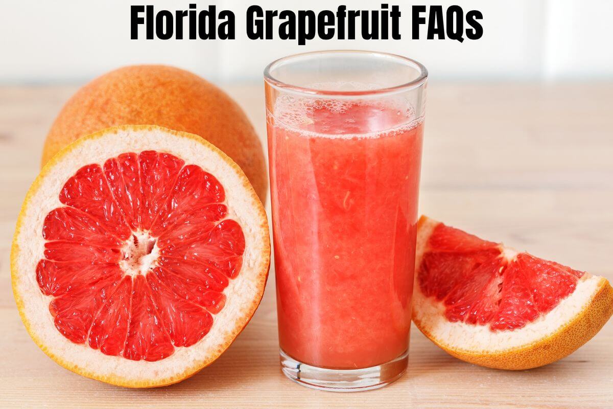 Florida Grapefruit: More Than Meets The Eye