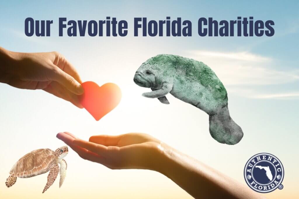 Our Favorite Florida Charities in 2026 • AuthenticFlorida.com