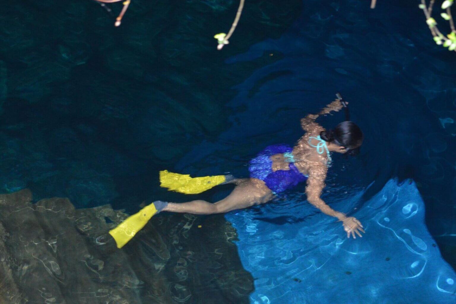 5 Things to Do in Devil's Den for the Perfect Trip • AuthenticFlorida.com