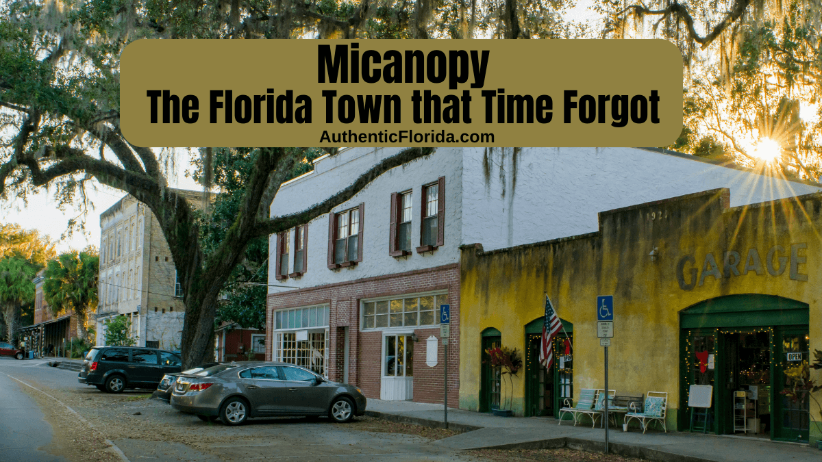 Micanopy: The Florida Town that Time Forgot • Authentic Florida