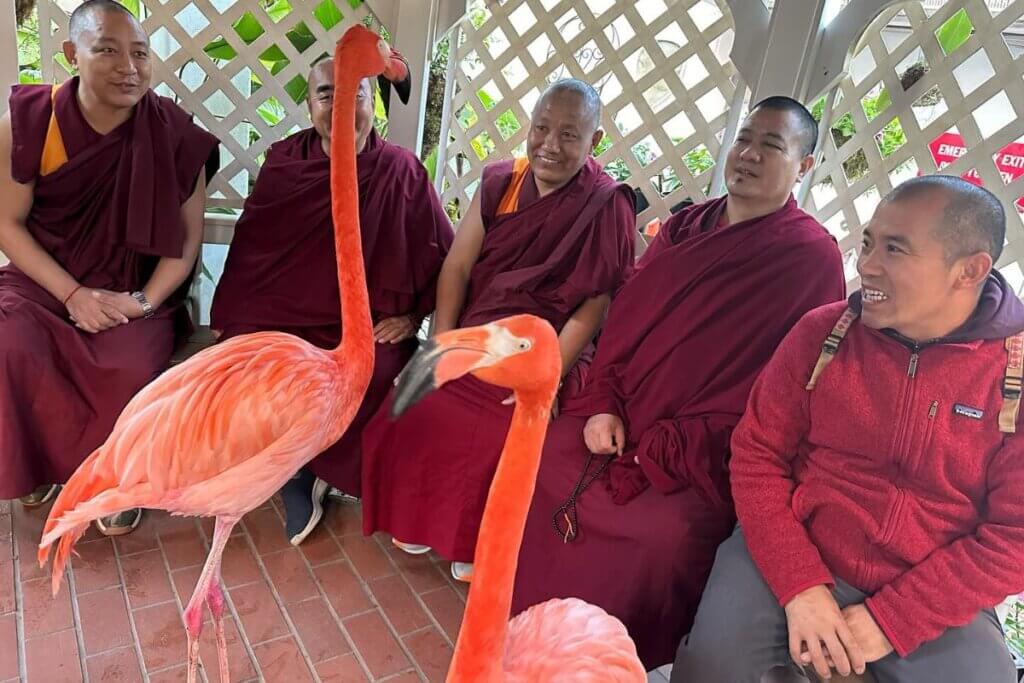 21+ Best Places to See Flamingos in Florida in 2025 • Authentic FL