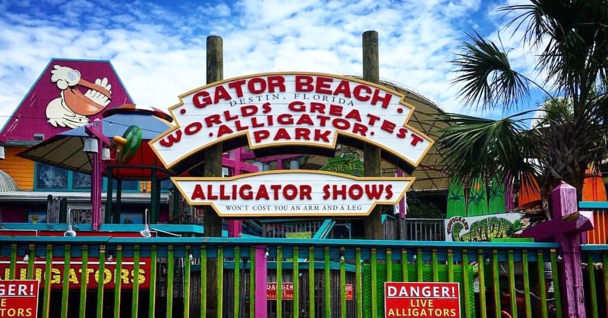 10 Florida Alligator Parks You Won't Want to Miss