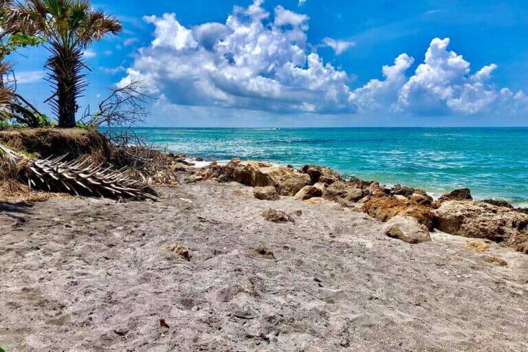 Exploring Things Florida Is Known For Beyond Theme Parks • Authentic ...