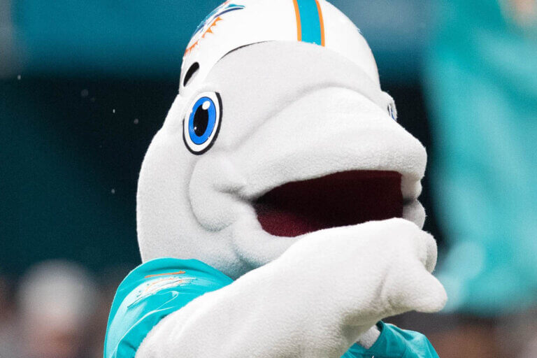 10+ Most Famous Florida Mascots • Authentic Florida