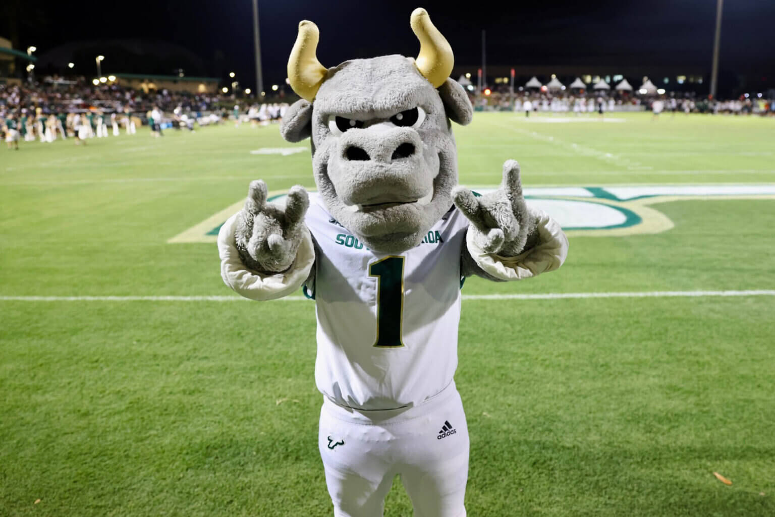 10 Most Famous Florida Mascots • Authentic Florida