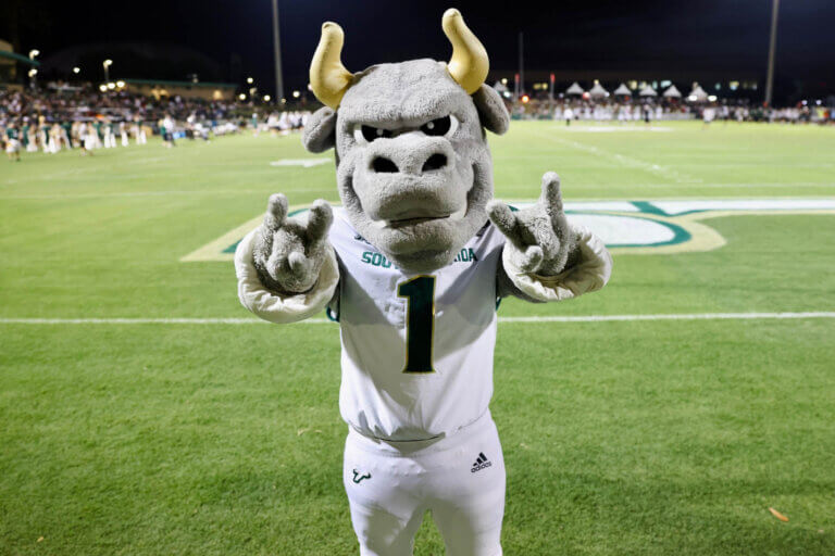 10+ Most Famous Florida Mascots • Authentic Florida