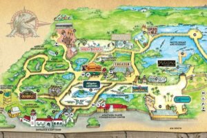 10 Florida Alligator Parks You Won't Want to Miss