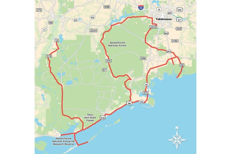 27 Scenic Drives in Florida for Your Road Trip Bucket List • Authentic ...