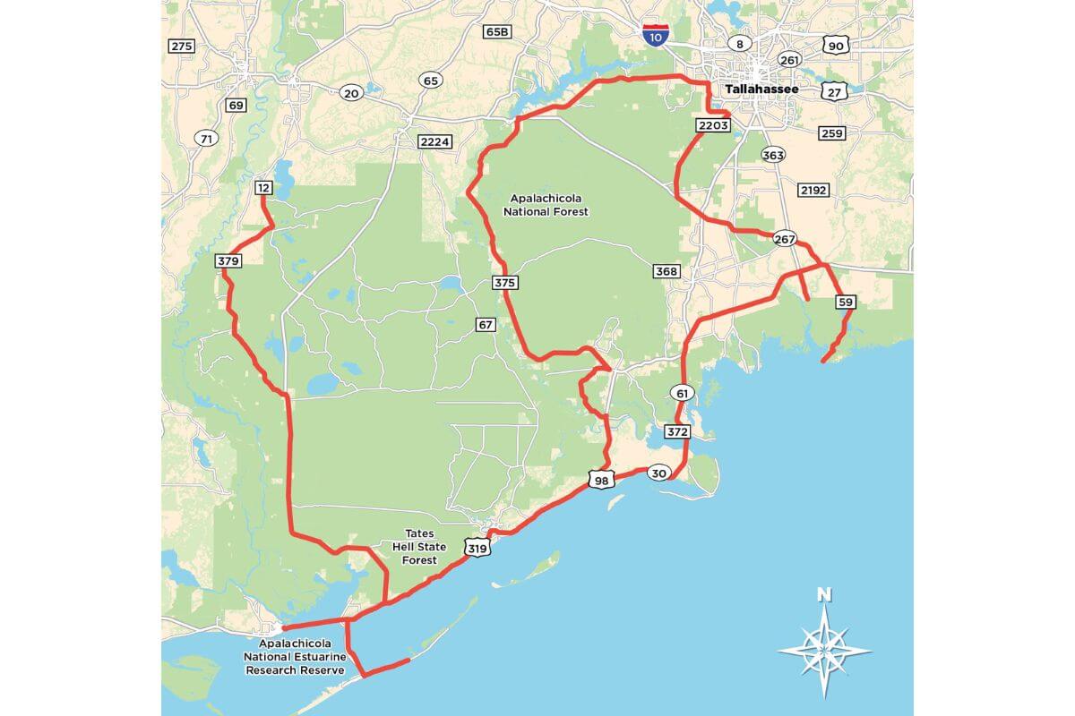 27 Scenic Drives in Florida for Your Road Trip Bucket List • Authentic ...