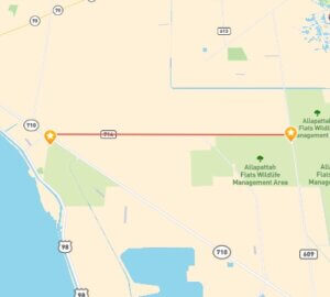 27 Scenic Drives in Florida for Your Road Trip Bucket List • Authentic ...