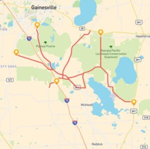 27 Scenic Drives in Florida for Your Road Trip Bucket List • Authentic ...