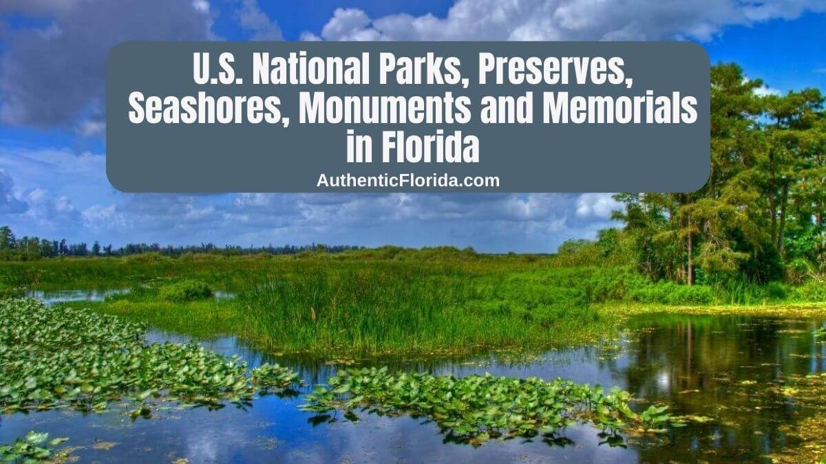11 U.S. National Parks in Florida You'll Love (2025) • Authentic Florida