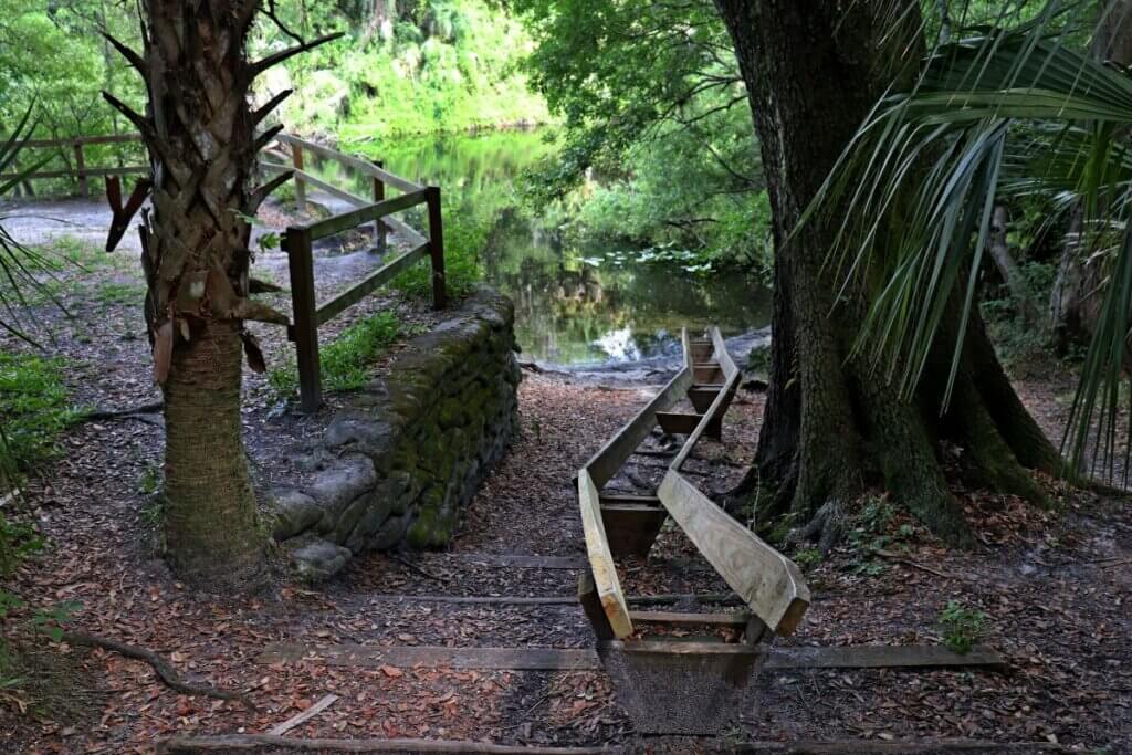 Top 5 Things to Do North of Tampa • Authentic Florida