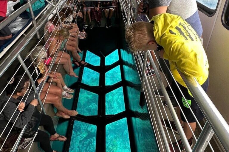 6 Best Glass Bottom Boat Tours in Florida • Authentic Florida