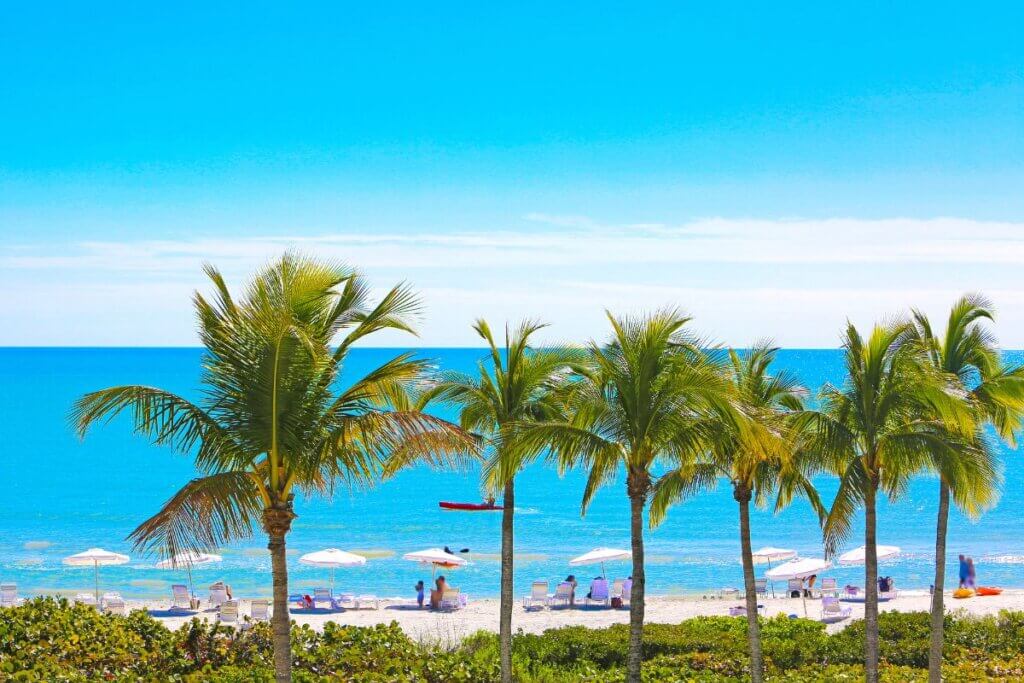 Sanibel Island Ultimate Trip Guide - Updated Nov 2023 • Authentic Florida