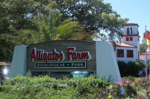 10 Florida Alligator Parks You Won't Want to Miss